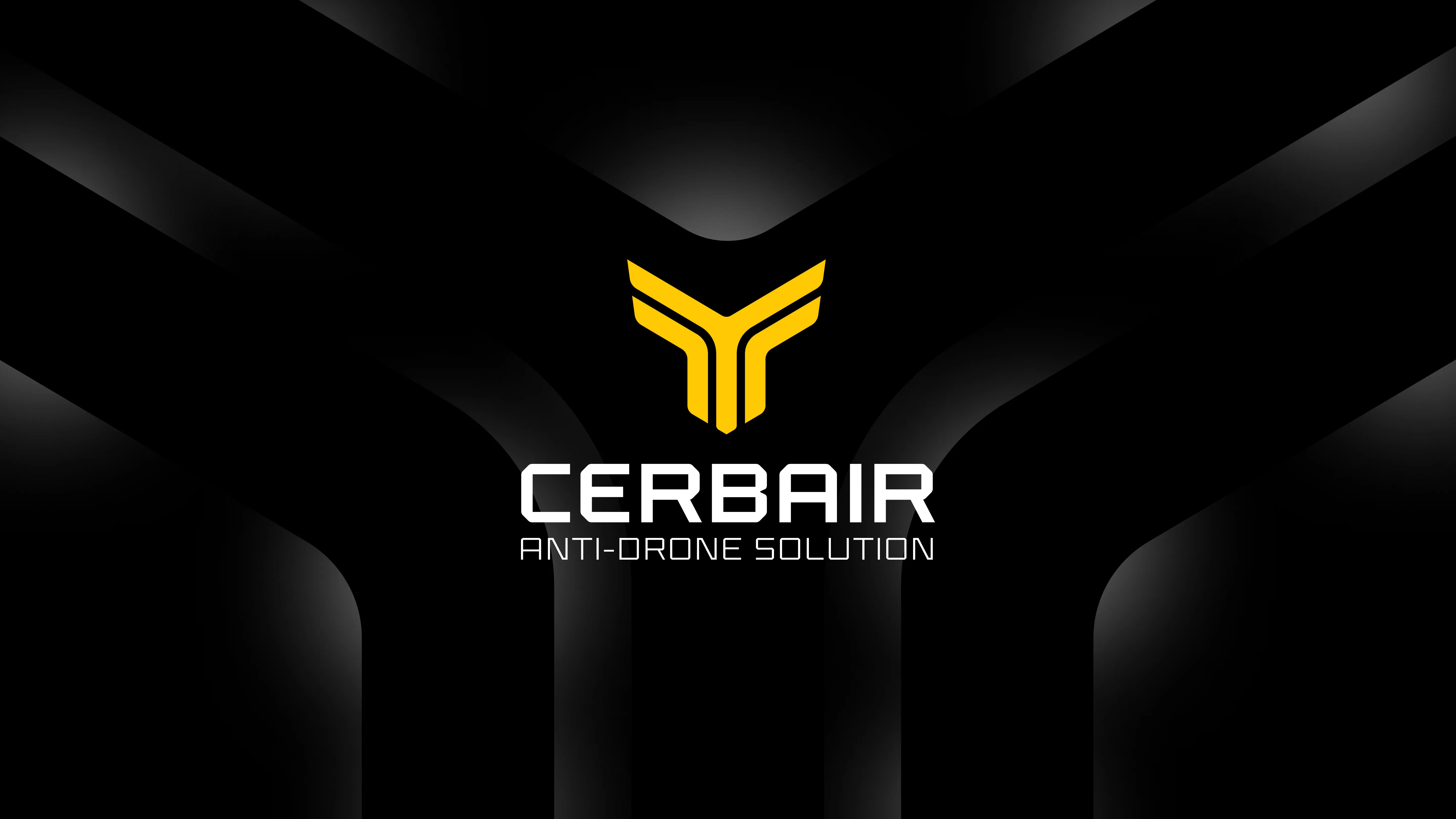 CERBAIR - Book Launch